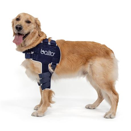 Dollar.Bid - bft medical ORTHOPAEDIC SHOULDER BRACE FOR DOGS BT LUX ...